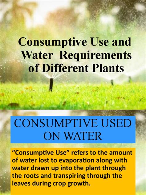 Consumptive Use And Water Requirements Of Different Crops Pdf Water