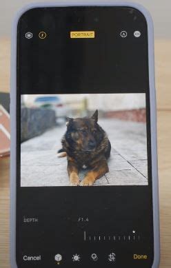 Comprehensive Guide How To Blur Face On IPhone For Beginners