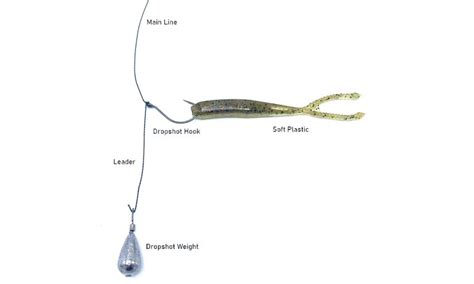 How To Rig Fish A Drop Shot