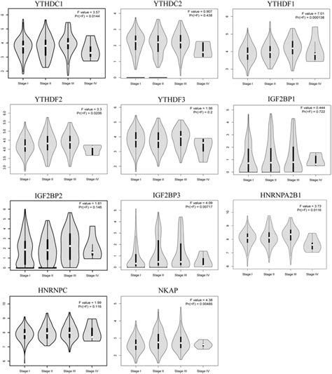 The Relationship Between M6a Readers Mrna Expression And Pathological Download Scientific