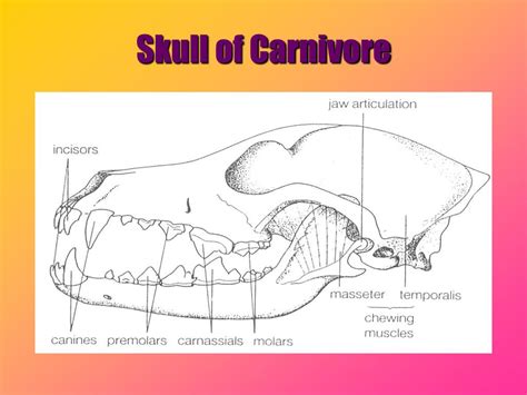 Ppt Activity Powerpoint Presentation Free Download Id2690583