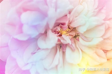 深藏不露的智者，内心最深邃的三个星座 知乎