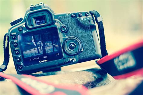 The Focus Modes On Your Camera Explained And When To Use Them