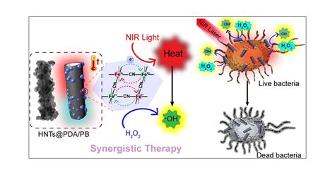 Prussian Bluepolydopamine Decorated Halloysite Nanotubes For Effective