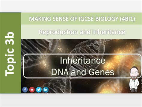 Section 3 Presentation Bundle Igcse Biology 9 1 Teaching Resources