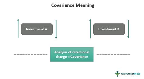 Covariance Definition Calculation Interpretation Examples