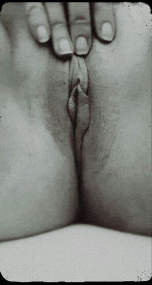 Wifes Pussy Porn Pic