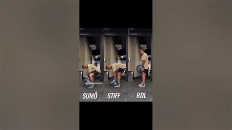 Diferença Entre Stiff Terra Sumô E Rdl Youtube
