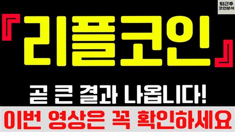 리플코인전망 리플 홀더분들 마음고생 많으시죠 하지만 기회가 있을 겁니다 리플코인 리플코인전망 리플코인분석 리플소송결과 리플코인시세 Youtube