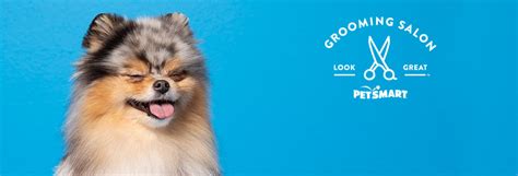 Dog Grooming And Cat Grooming Services Petsmart