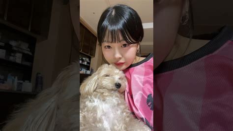 강아지가 왜이리 얌전해 Youtube