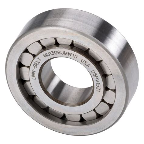 National Differential Pinion Bearing