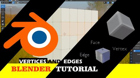 How To Add Vertices In Blender At Brodie Bobby Blog
