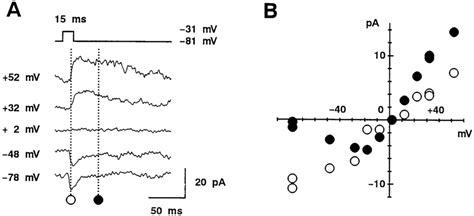 Two Components Of The Evoked Postsynaptic Current A Postsynaptic