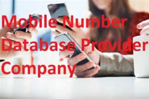Calling Database Service In New Delhi Id 2853931190791