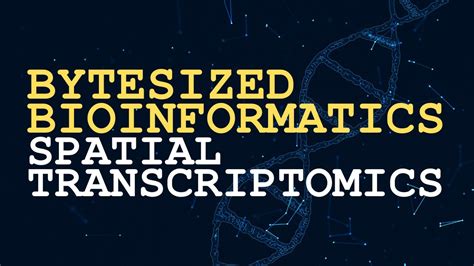 Spatial Transcriptomics Bytesized Bioinformatics Youtube