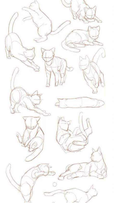 Pin Di Bianca Valeria Su Disegno E Pittura Schizzi Di Animali