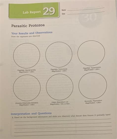 Solved Lab Report Date Parasitic Protozoa Your Results Chegg Com