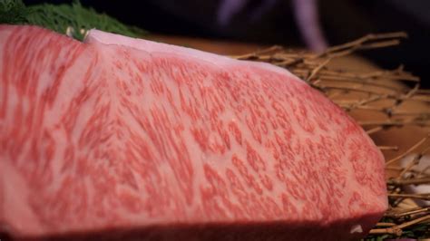 大阪 心斎橋 焼肉 吟味屋西区新町店 YouTube
