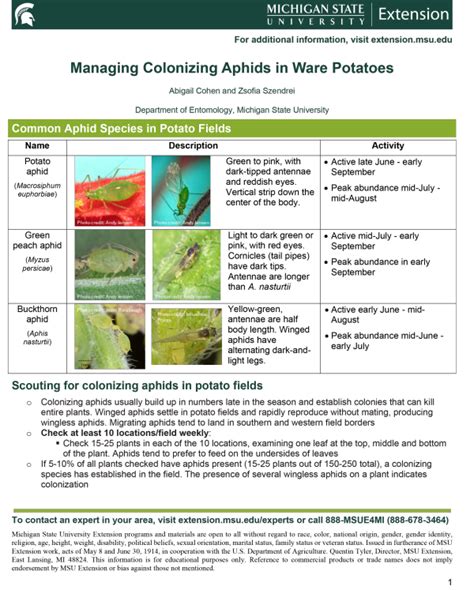 Managing Colonizing Aphids In Ware Potatoes Vegetables