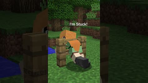 Steve You Gotta Help Me Im Stuck Shorts Youtube