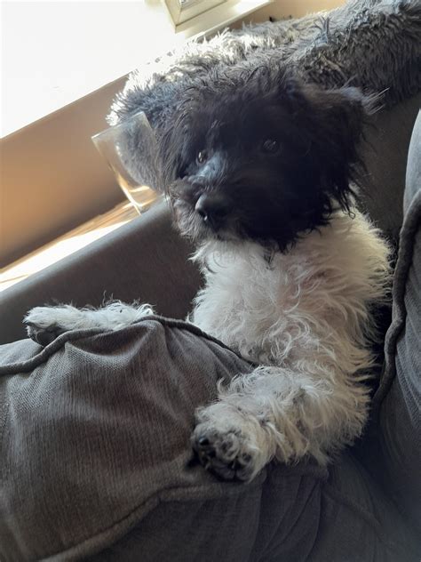 Stuck In The Sofa Album On Imgur