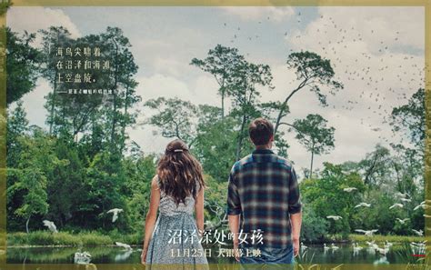 电影《沼泽深处的女孩》发布“沼泽诗意”组图 极致美景中上演浪漫爱情