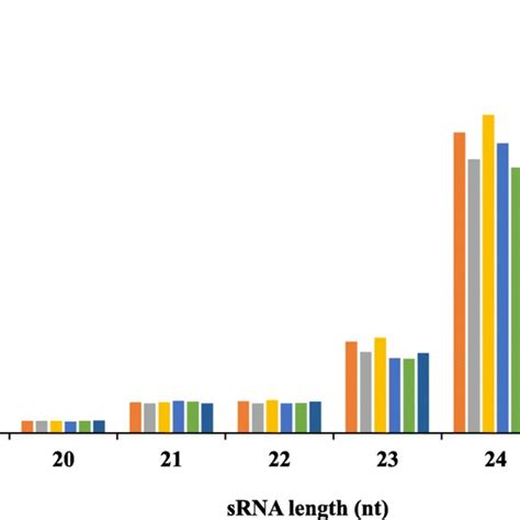 Size Distribution Of Unique Small Rna Sequences Identified In All Download Scientific Diagram