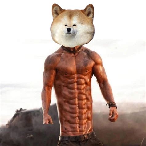 Tuyển Tập 179 Meme Chó Cơ Bắp Hài Hước Gây Bão Mạng