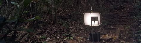 Automated Moth Monitoring Put To The Test In Panama Uk Centre For
