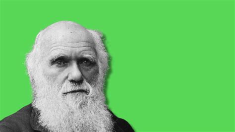 Levoluzionista Riluttante Ritratto Di Darwin Tra Riserbo E Rivoluzione Scienza In Rete