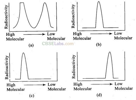 NCERT Exemplar Class 12 Biology Chapter 6 Molecular Basis Of Inheritance NCERT Library