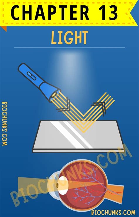 Class 8 Science Notes Advanced Learning Made Easy