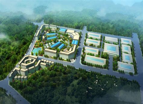 厂区厂房 贵州大隆药业有限责任公司一家集医药研发、生产和销售于一体的医药企业