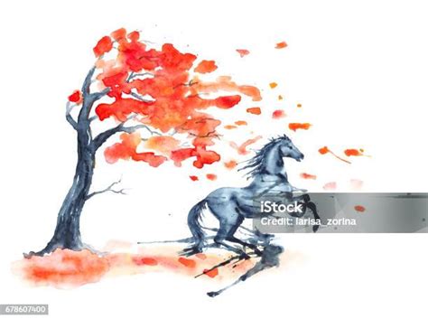 흰색에 붉은 을 나무 잎 얼룩 지우고 잉크 말 젖은 수채화 양육 검은색에 대한 스톡 벡터 아트 및 기타 이미지 검은색 말 필기용 잉크 Istock