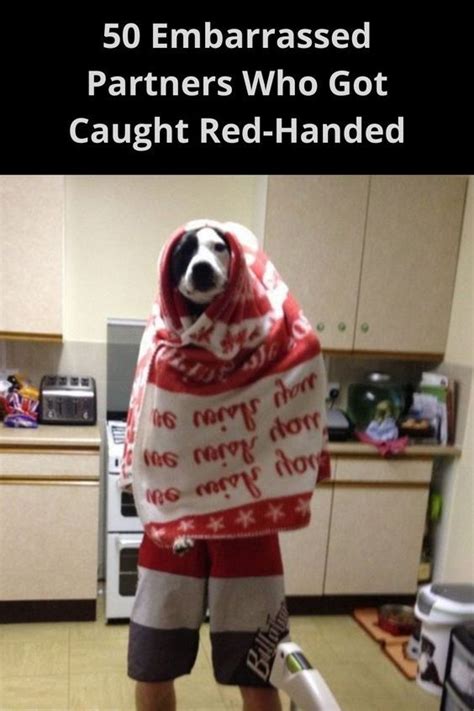 50 Of The Most Hilariously Embarrassing Things People Caught Their
