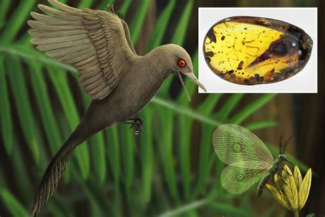 Worlds Smallest Dinosaur Discovered By Scientists And It Looks Like A