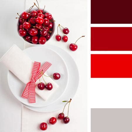 Red Color Schemes Accentuating Gray And White Decorating Ideas