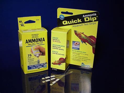 Ammonia Toxicity In Aquatic Environments Dr Erik Johnson Veterinarian
