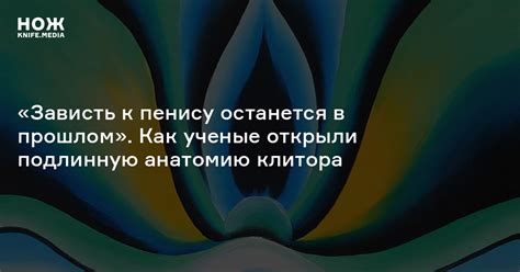 Анатомия клитора — Нож