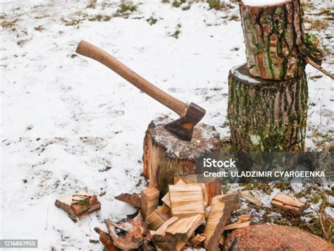 Memotong Kayu Dengan Kapak Tangan Dipertajam Kapak Untuk Memotong Kayu Memanen Kayu Bakar Foto