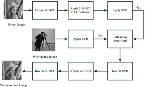 Figure 2 From Robust Digital Image Watermarking Scheme Based On Rdwt Dct Svd Semantic Scholar