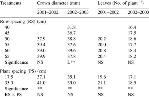 Row Spacing RS And Plant Spacing PS Effect On Crown Diameter And Download Scientific