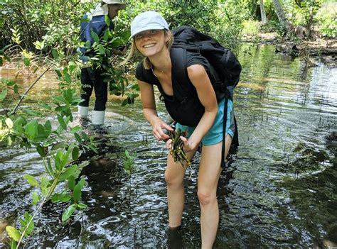 Environmental Conservation Volunteer Abroad Projects Artofit