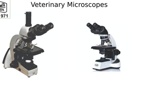 What Is The Resolving Power Of A Microscope Getner Instruments