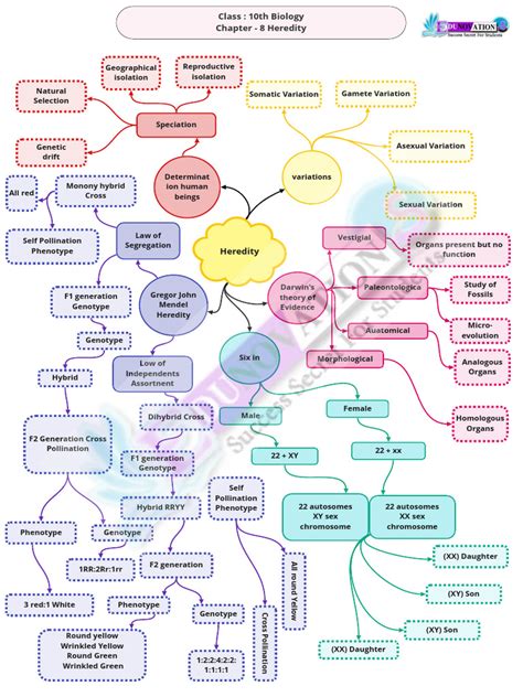 Chapter 8 Heredity And Evolution Pdf Heredity Genetics