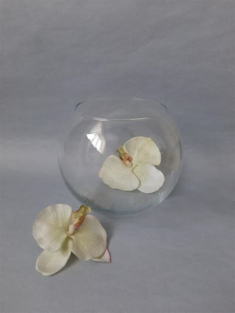 Ваза акваріум для декору скло — цена 295 грн в каталоге Вазы Купить товары для дома и быта по