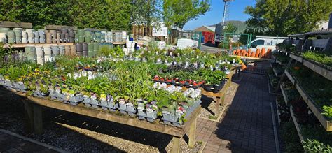 Pendre Garden Pendre Garden Centre And Cafe Rosa Tywyn