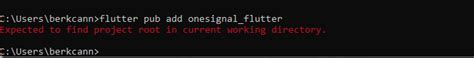 Flutter Onesignal Add Problems Expected To Find Project Root In Current Working Directory