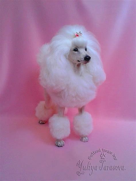 Пудель. | Войлочные животные, Пудель, Мягкие игрушки